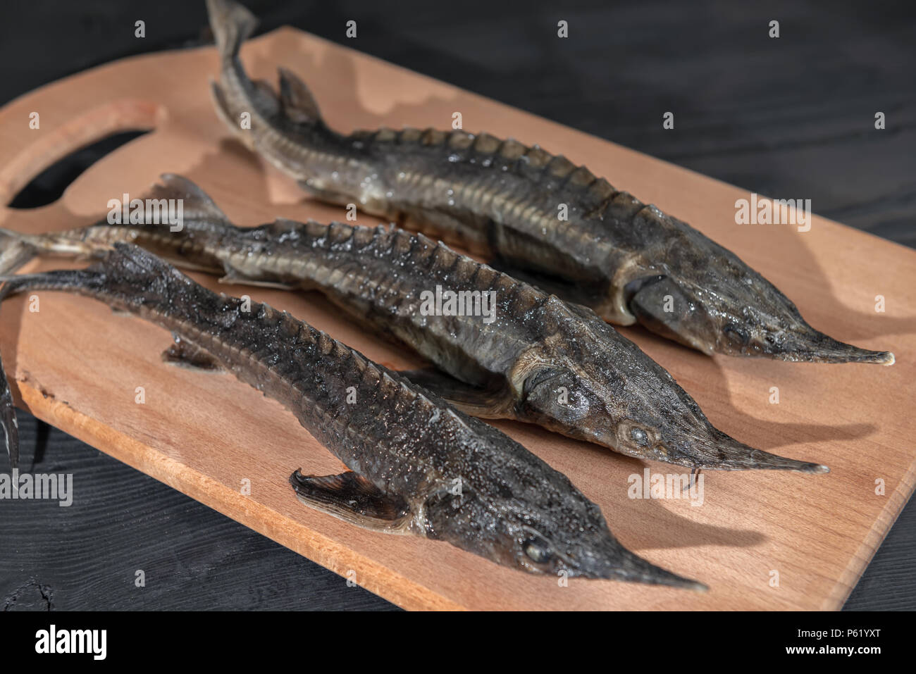 three of fresh raw sturgeon fish on wooden background Stock Photo - Alamy