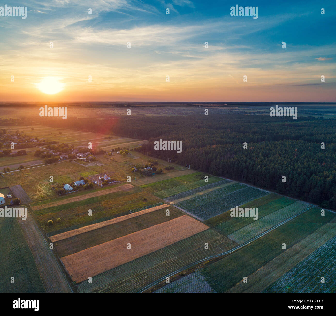 Aerial view of arable fields, pine forest and countrysides in evening ...