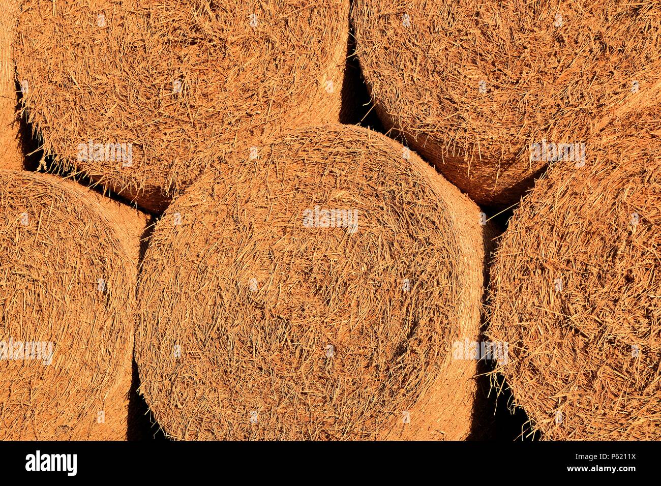 Straw rolls on a trailer Stock Photo - Alamy