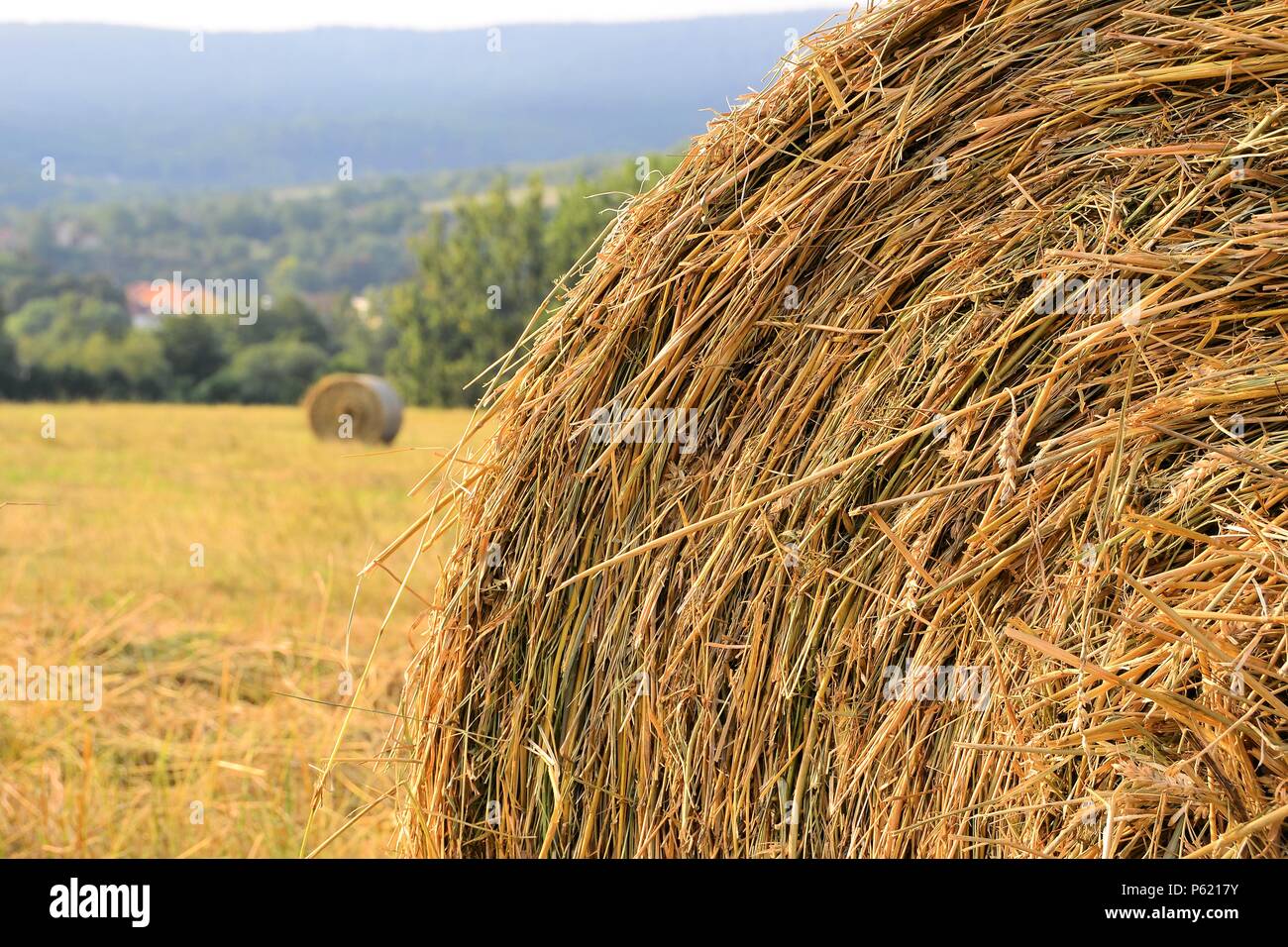 Straw rollers hi-res stock photography and images - Alamy