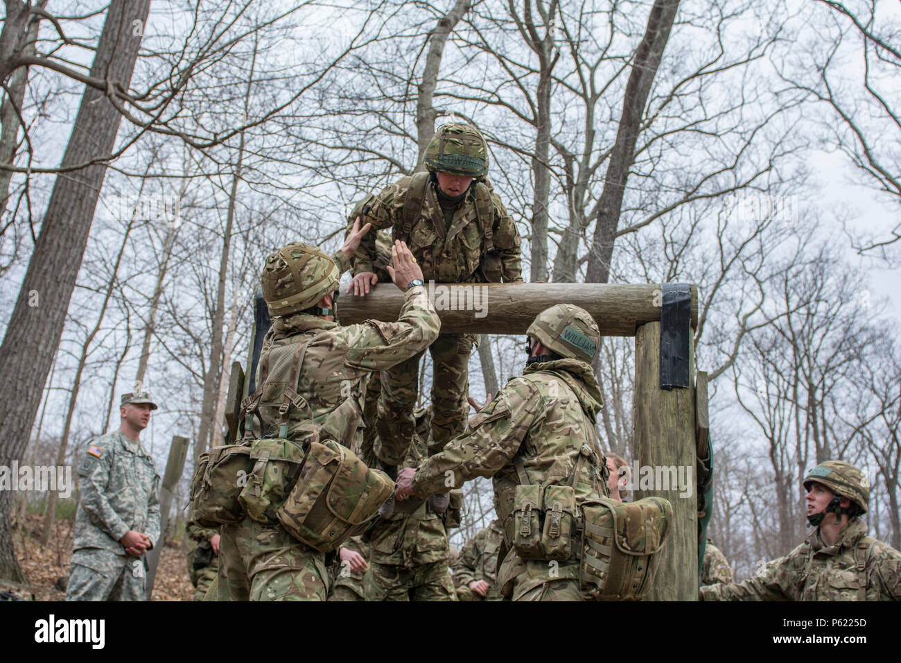 Sgt. 1st Class Henry Johnson, Co. A, 3rd Bn., 304th Inf. Reg. (USMA ...
