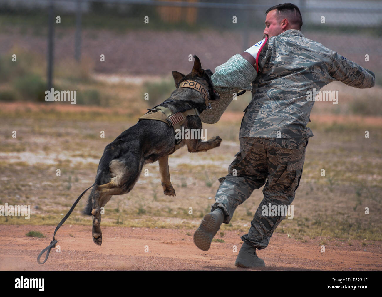 Senior Airman David Wells, assigned to the 99th Security Forces ...