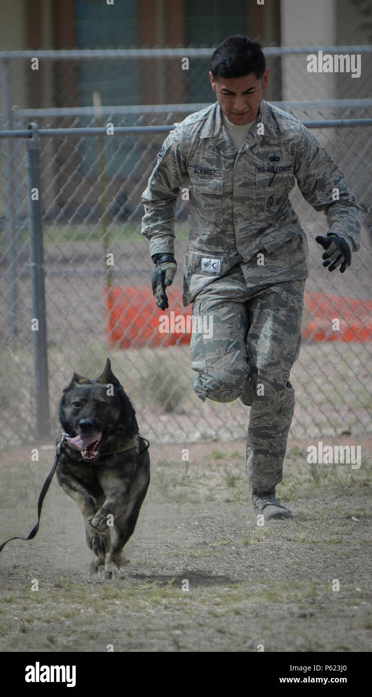 99th sfs hi-res stock photography and images - Alamy