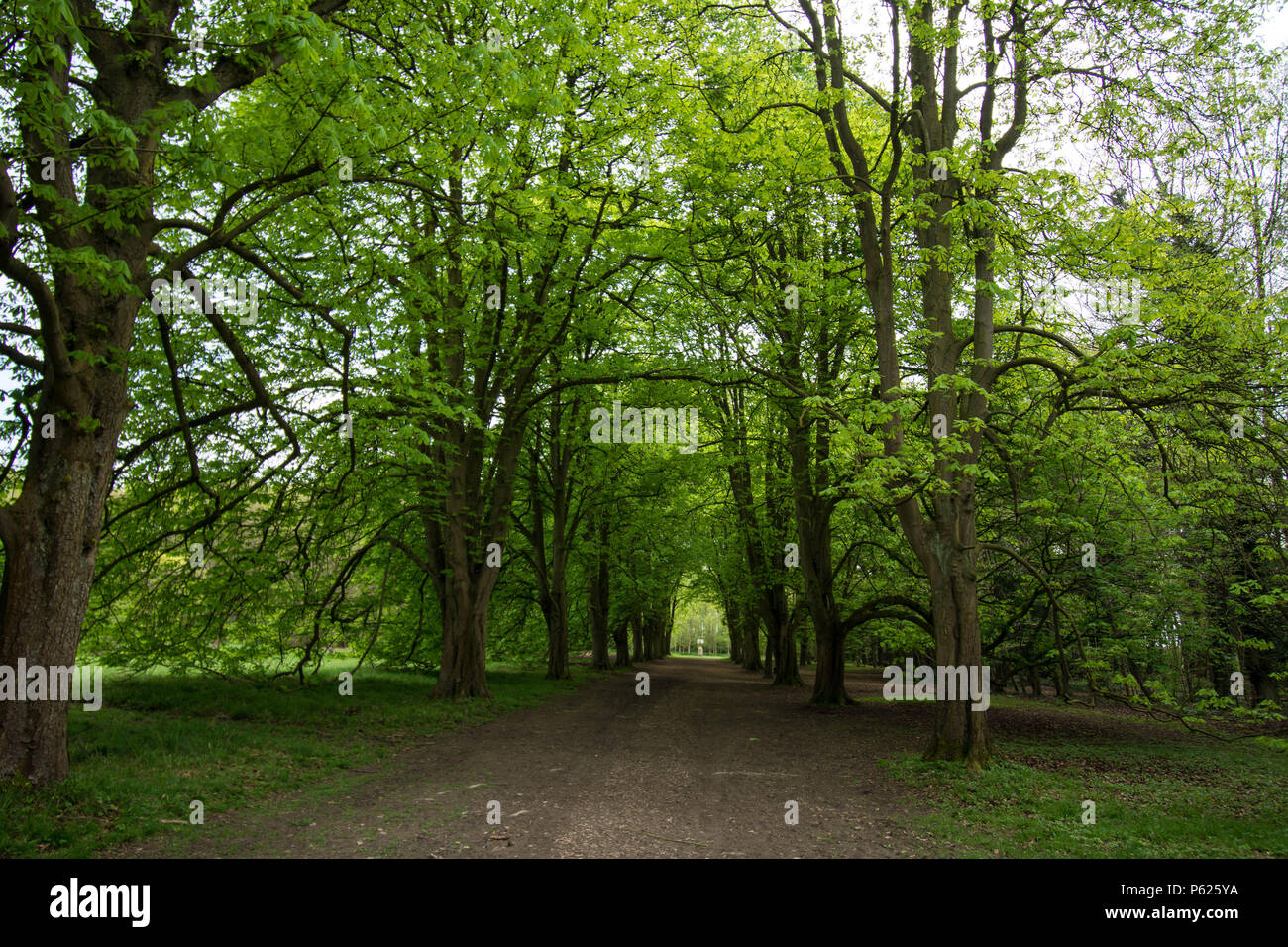 Country garden England Stock Photo - Alamy