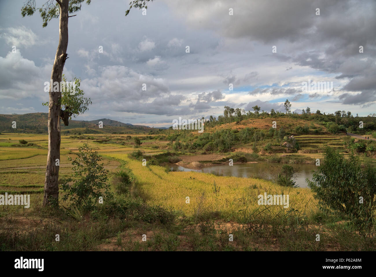 Madagascan landscape near Ambalavao Stock Photo - Alamy