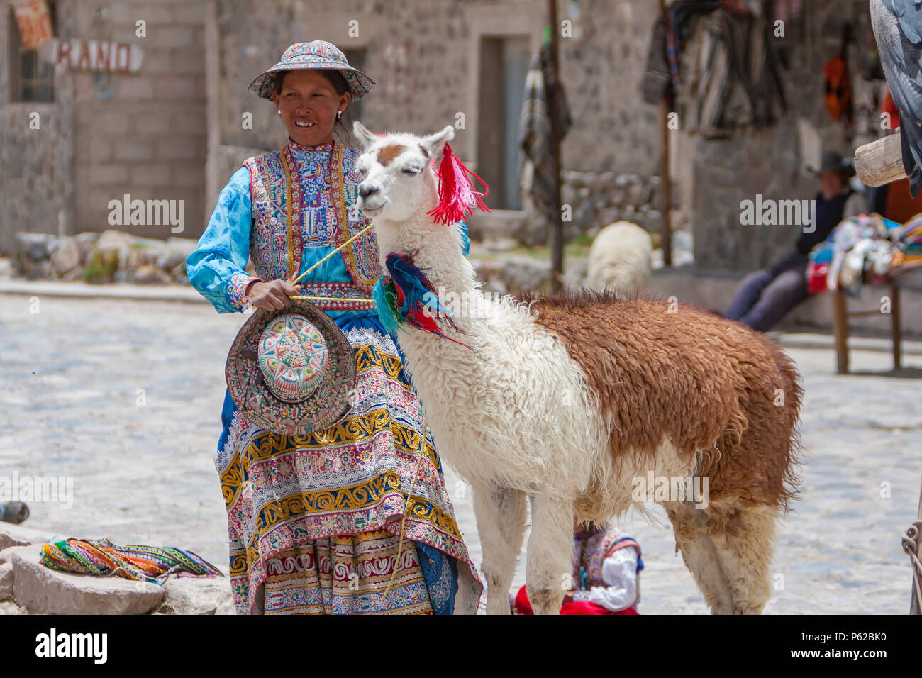 Alpaca of Peru Stock Photo - Alamy