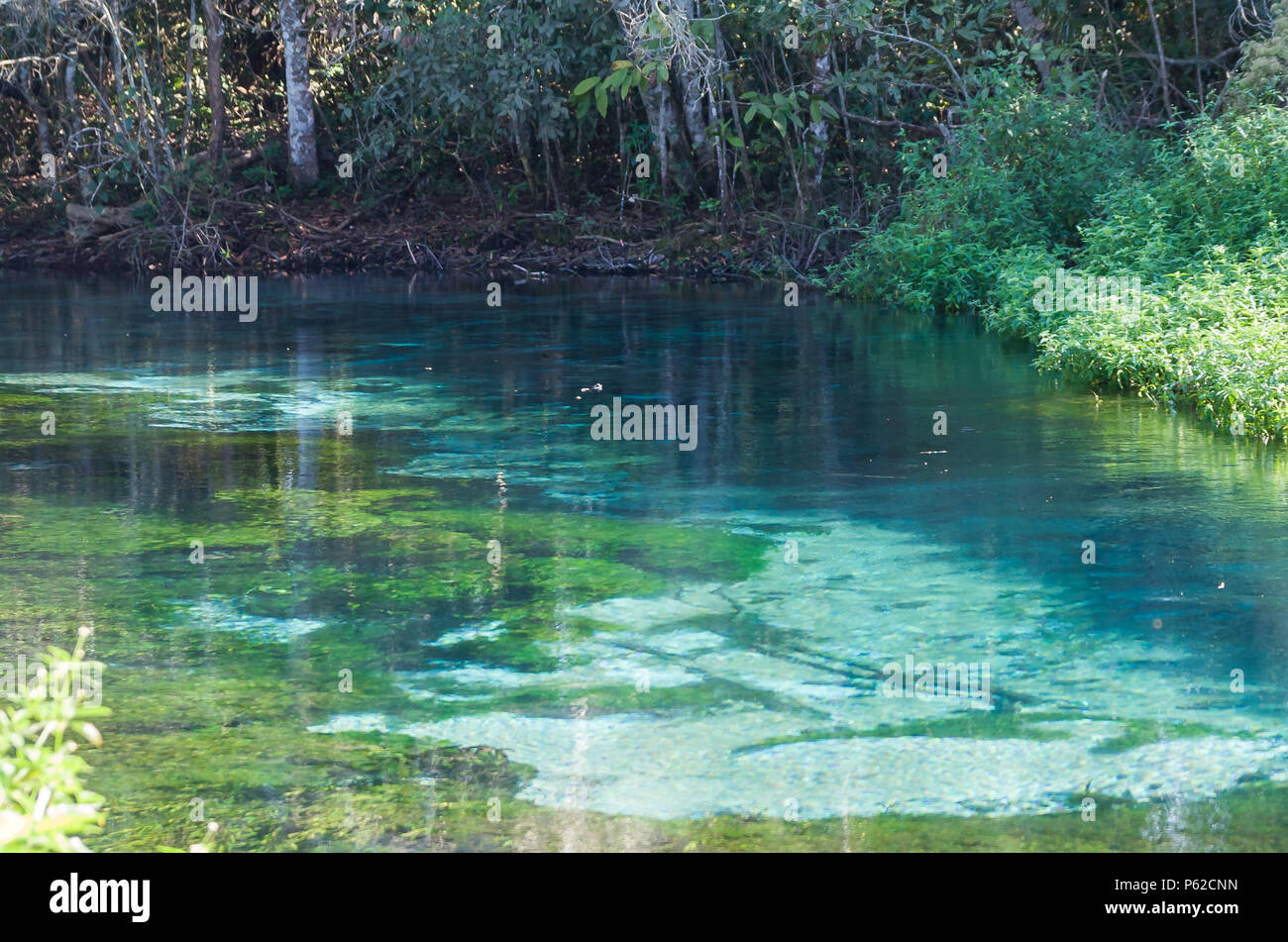 Sunrise of Sucuri river, Brazil, crystal clear, transparent blue river ...