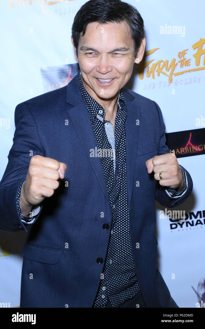 Premiere of 'The Fury And The Fist And The Golden Fist' held at Laemmle ...
