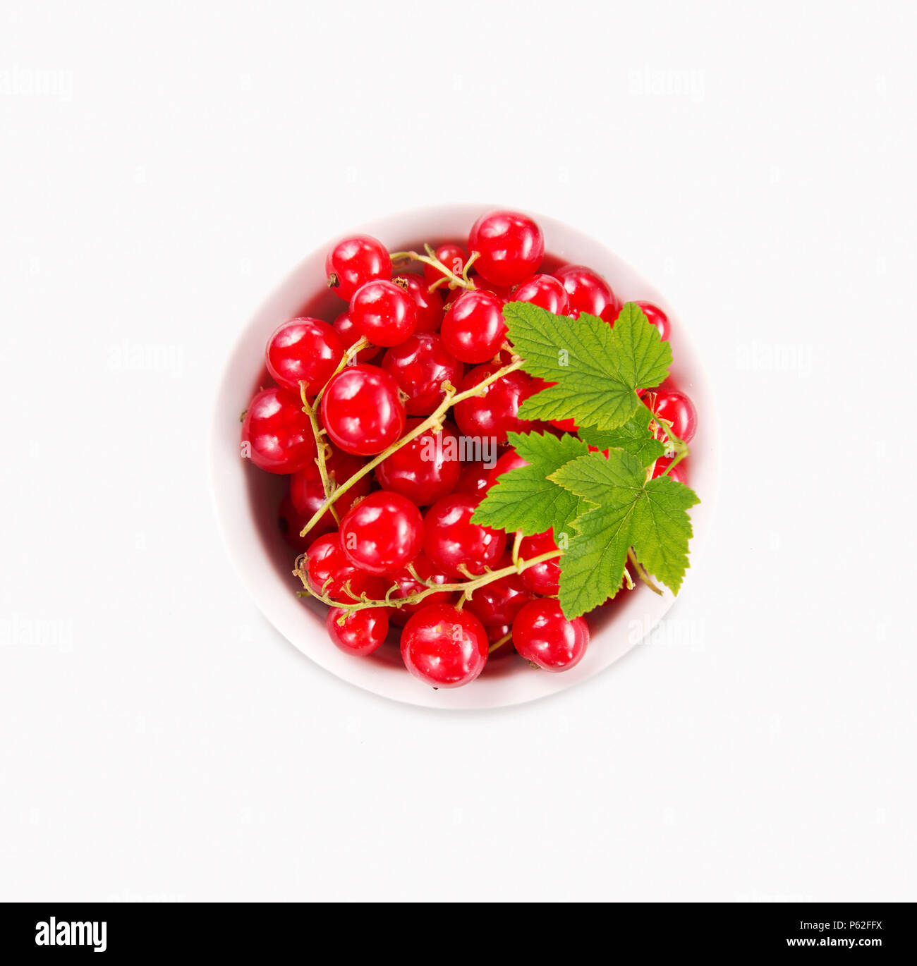 Red currants in the bowl. Ripe and tasty currant isolated on white ...