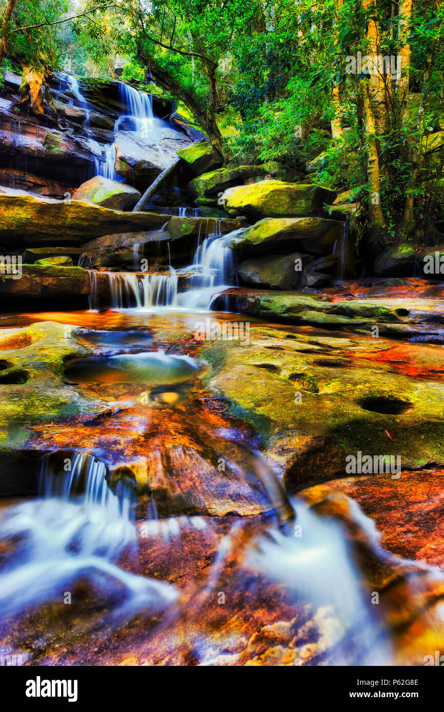 Cascade of low somersby waterfall in evergreen gum tree rainforest of ...