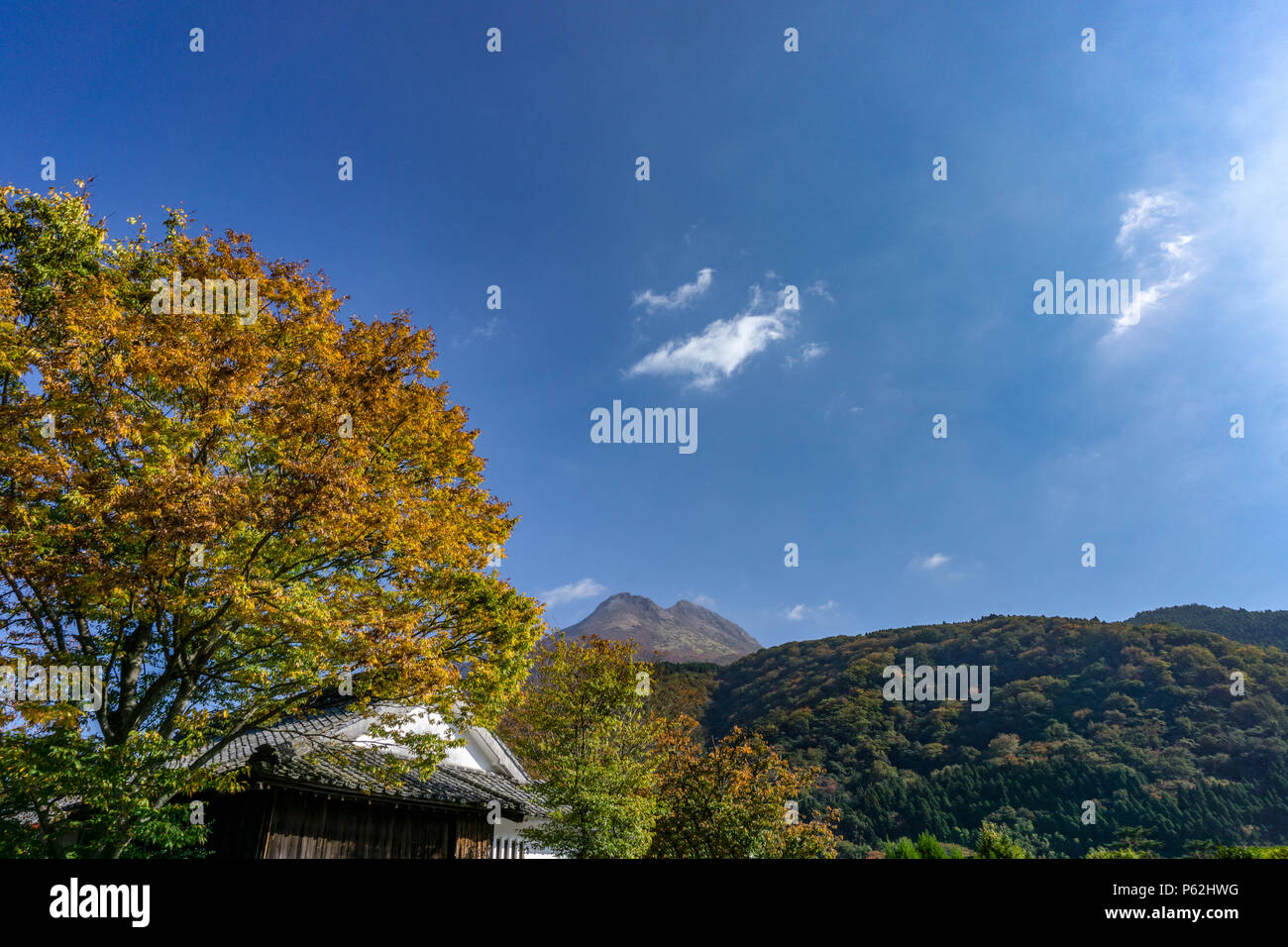 The view of Autumn Trees and Mount Yufu in Background with blue sky and ...
