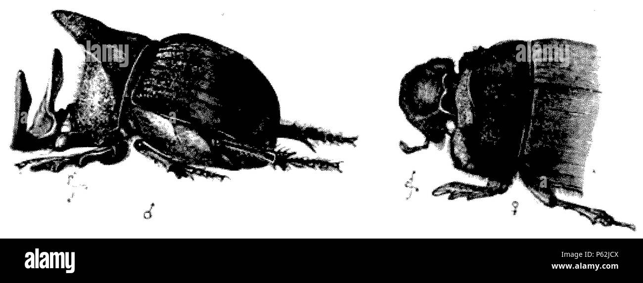 1805 journal Black and White Stock Photos & Images - Alamy