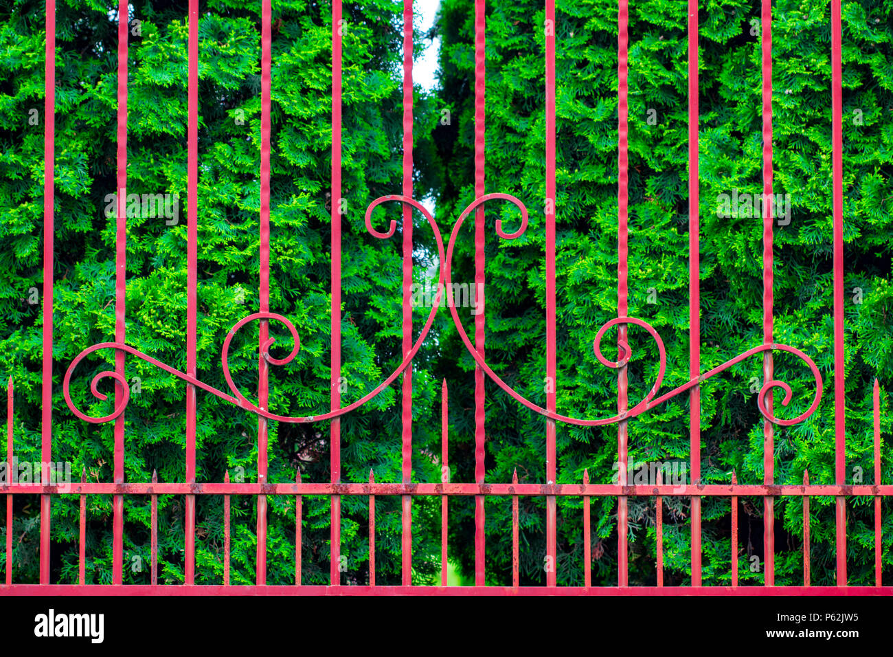 A closed forged metal gate looking onto a garden path Stock Photo - Alamy