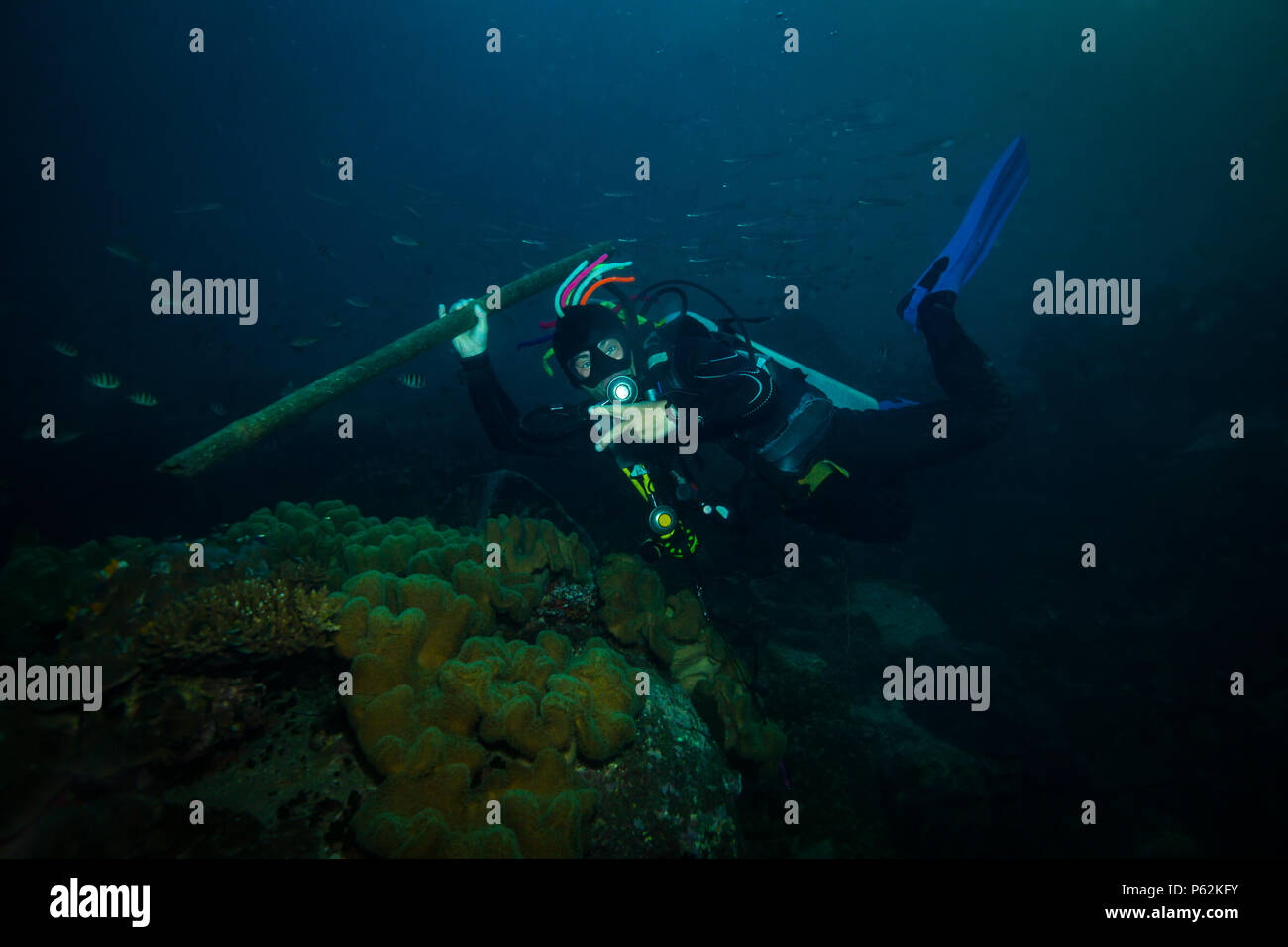 A scuba diver holds a pipe cut as a spear Stock Photo - Alamy