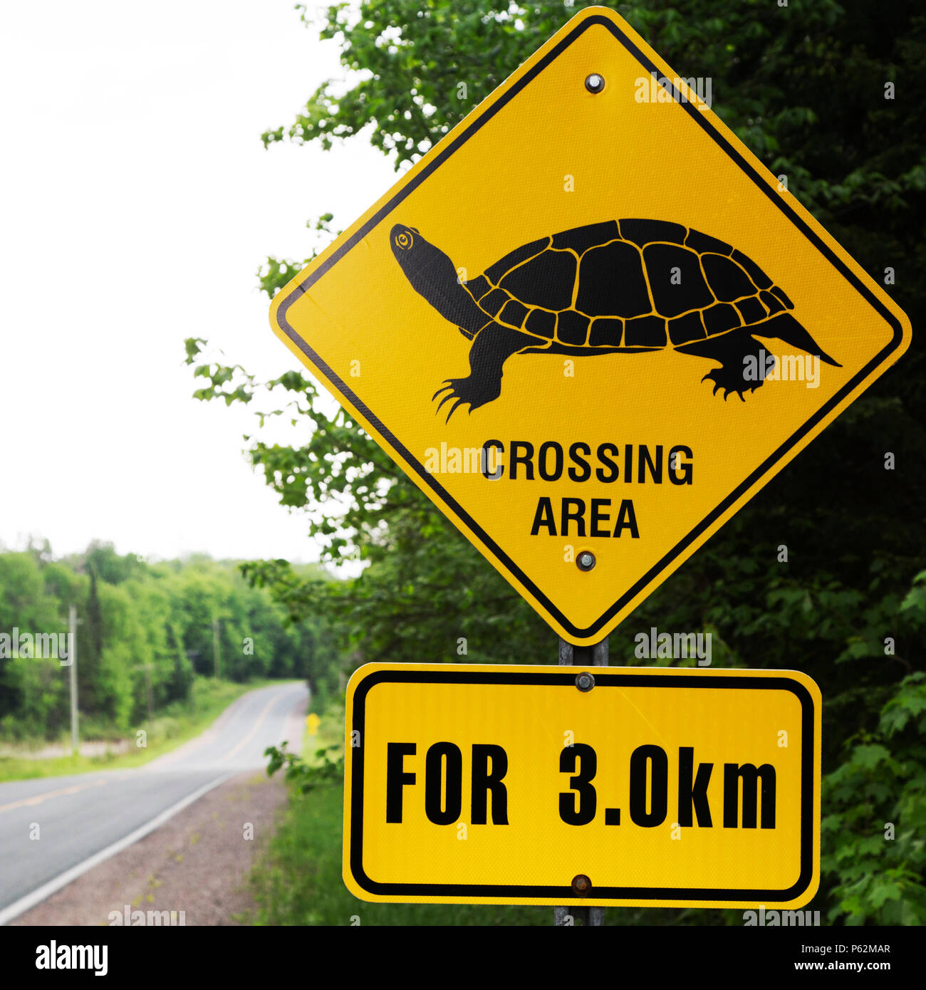 Sign warning of turtles crossing the road for the next three kilometres ...