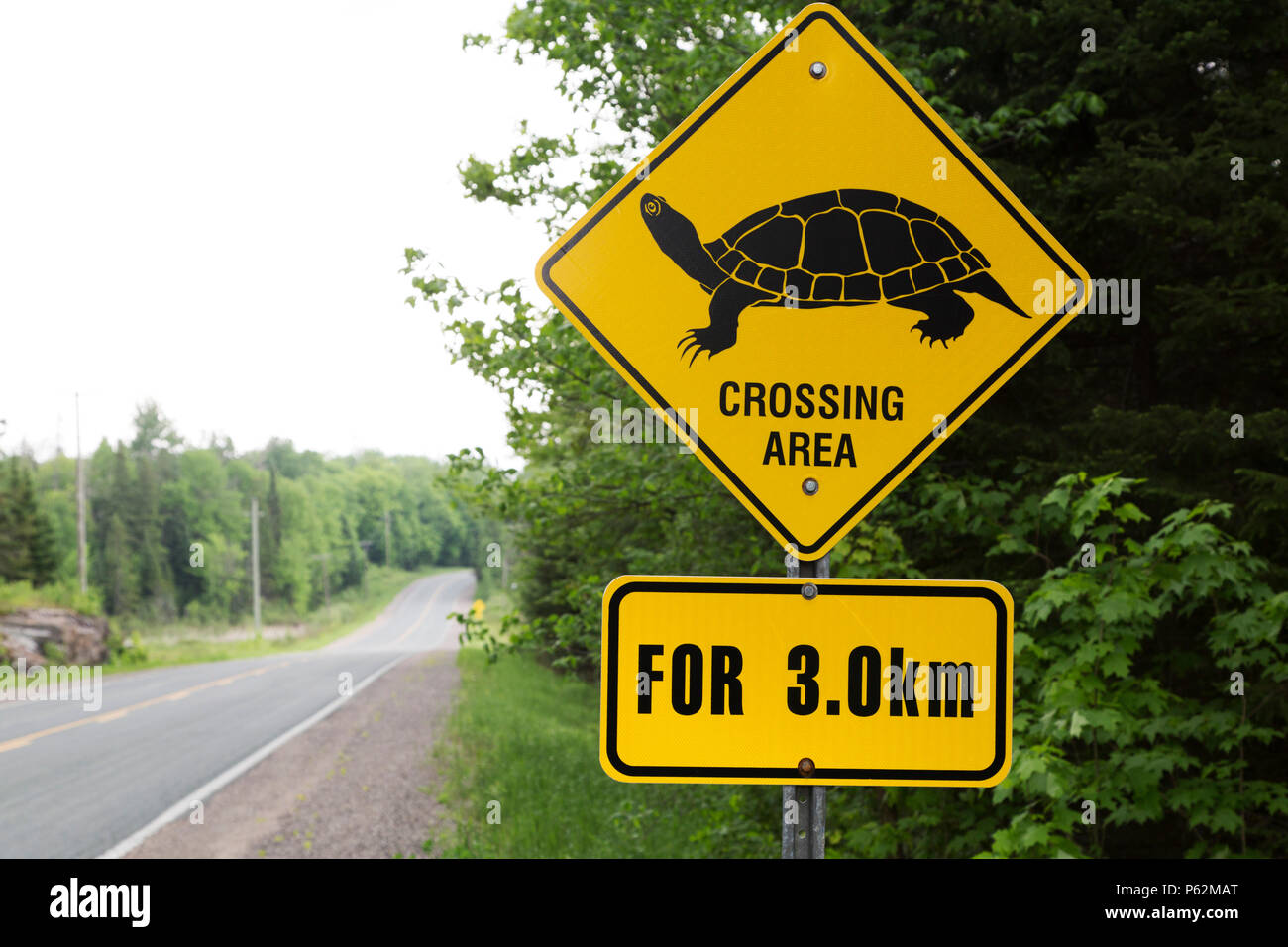 Turtle Crossing Sign High Resolution Stock Photography and Images - Alamy