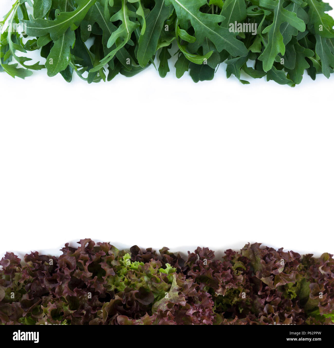 Top view. Lettuce and arugula at border of image with copy space for ...