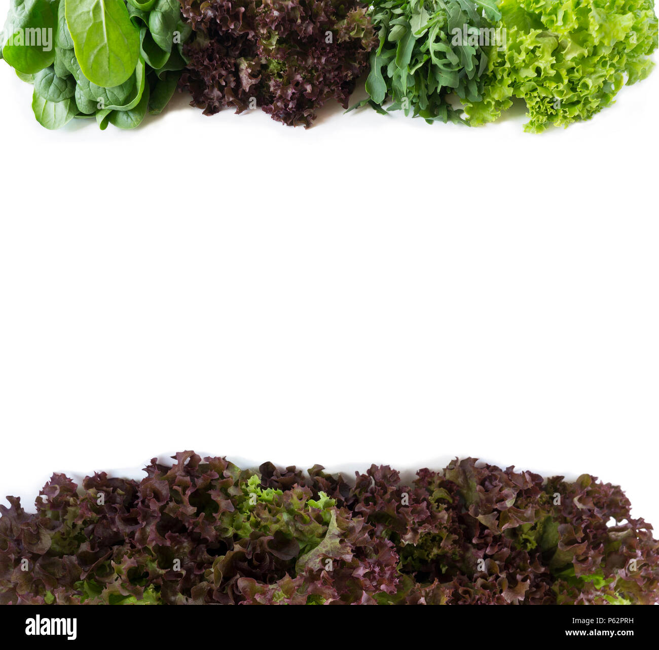 Top view. Lettuce, spinach, arugula at border of image with copy space ...
