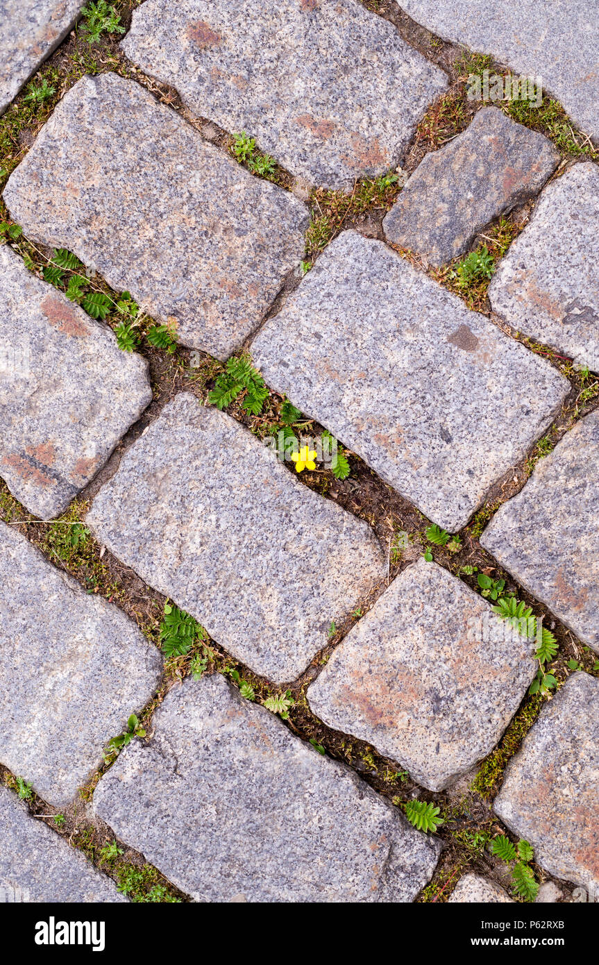 Rock pavement hi-res stock photography and images - Alamy