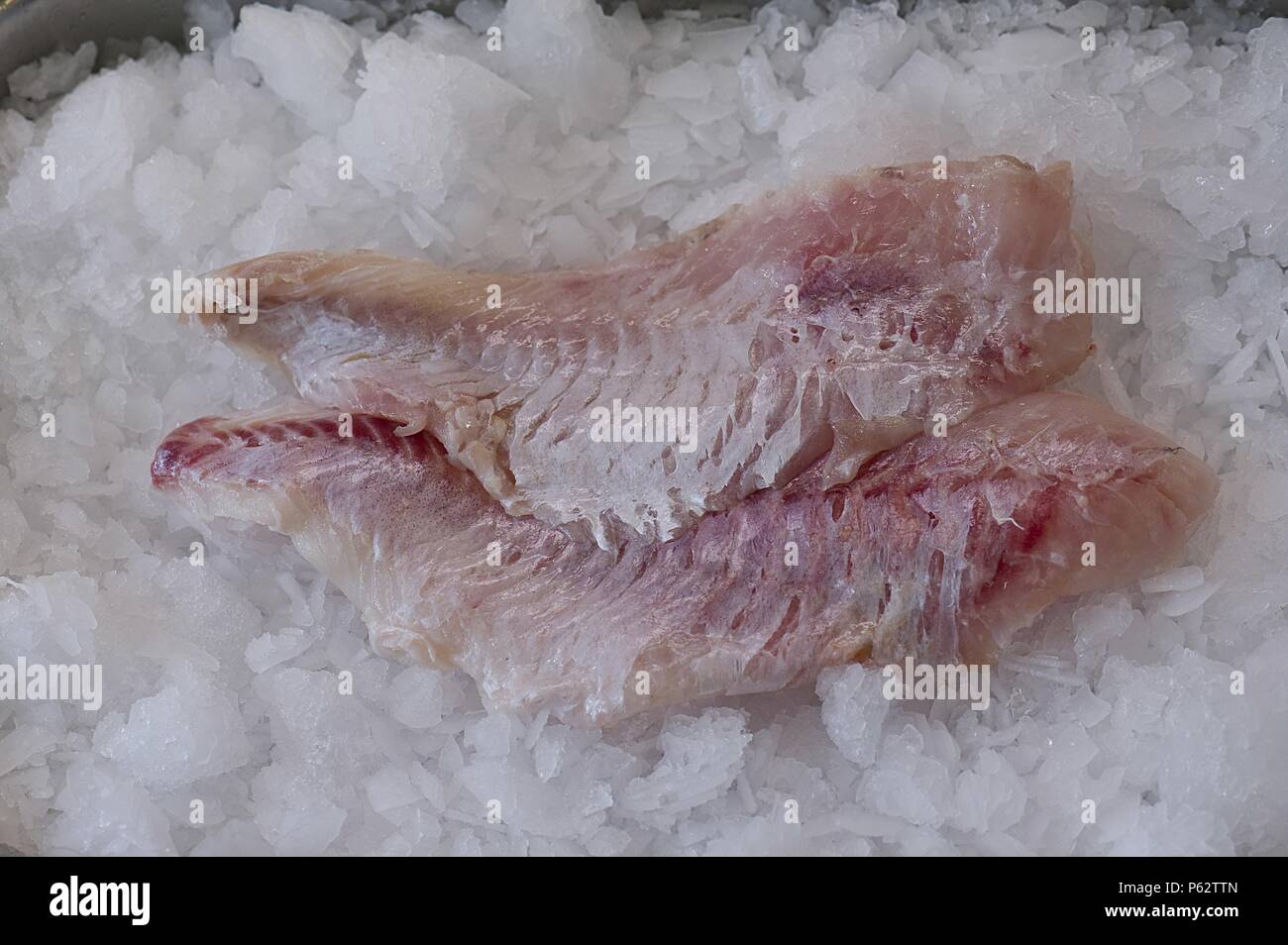 Norway redfish hi-res stock photography and images - Alamy
