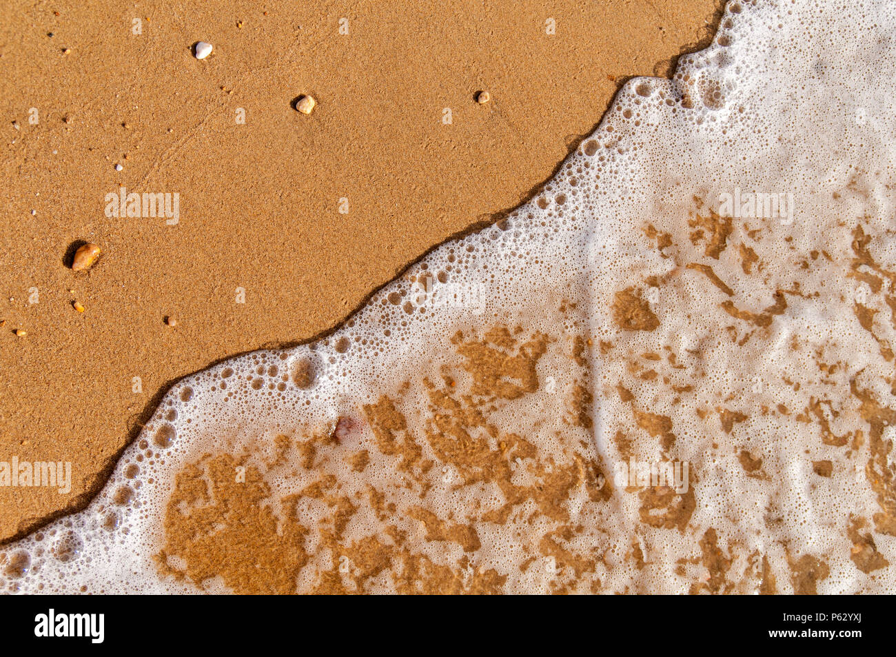 Beauty and danger hi-res stock photography and images - Alamy