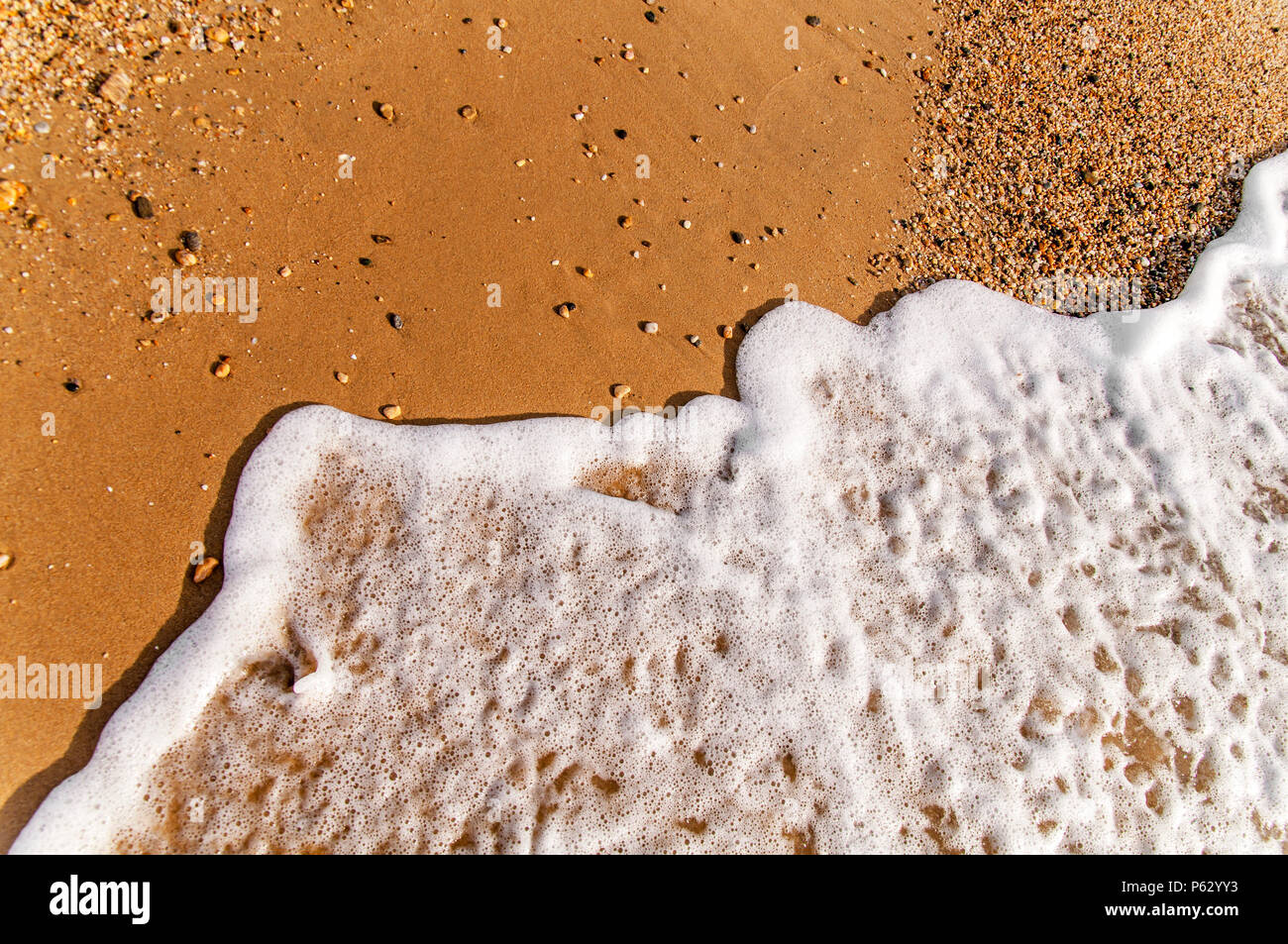 Beauty and danger hi-res stock photography and images - Alamy