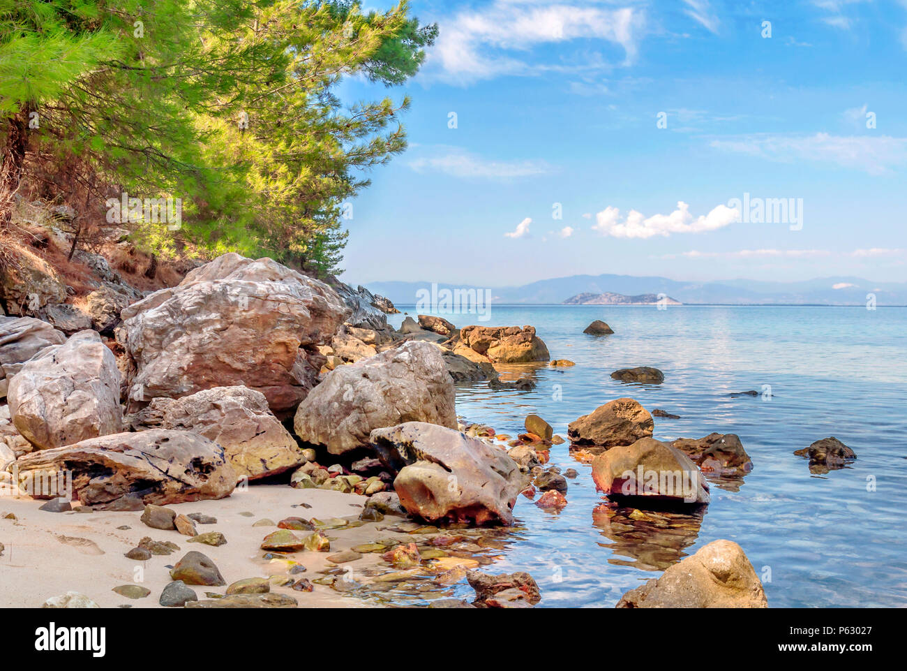 Natural background with green sea, tree, stones and forest Stock Photo ...
