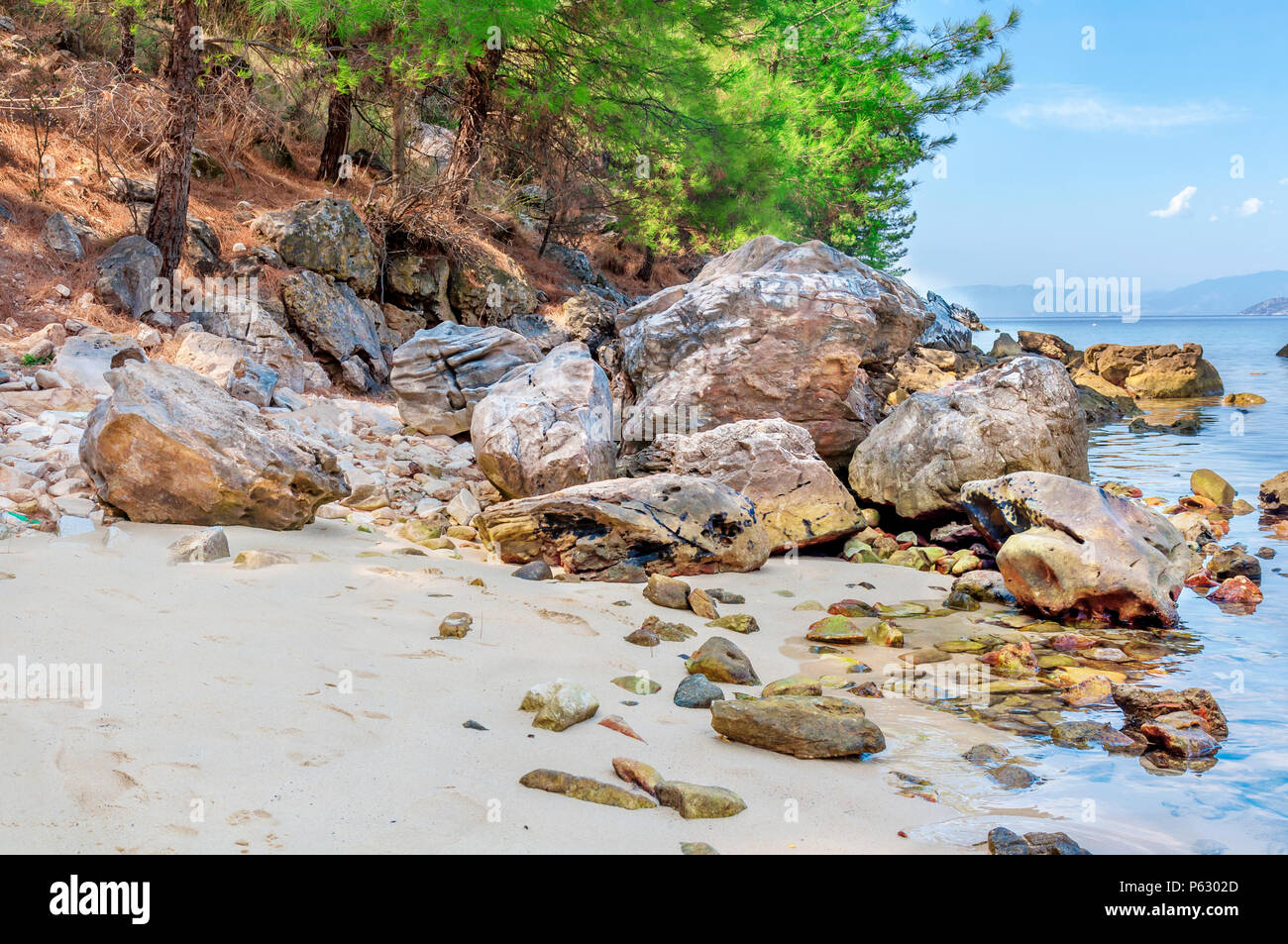 Natural background with green sea, tree, stones and forest Stock Photo ...