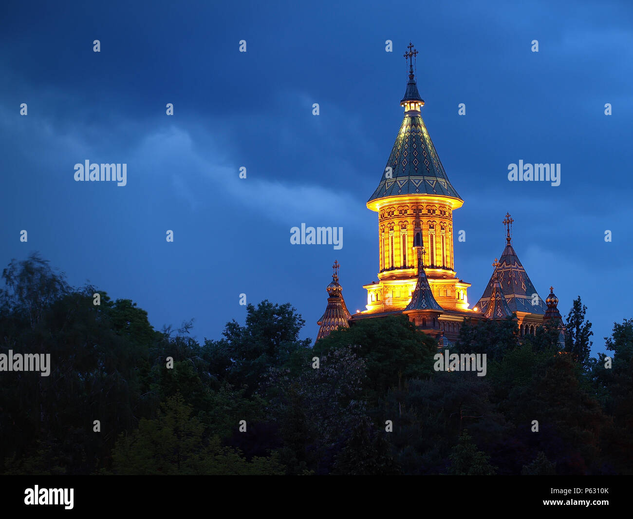 Night view of the Metropolitan Cathedral over the surrounding trees in ...