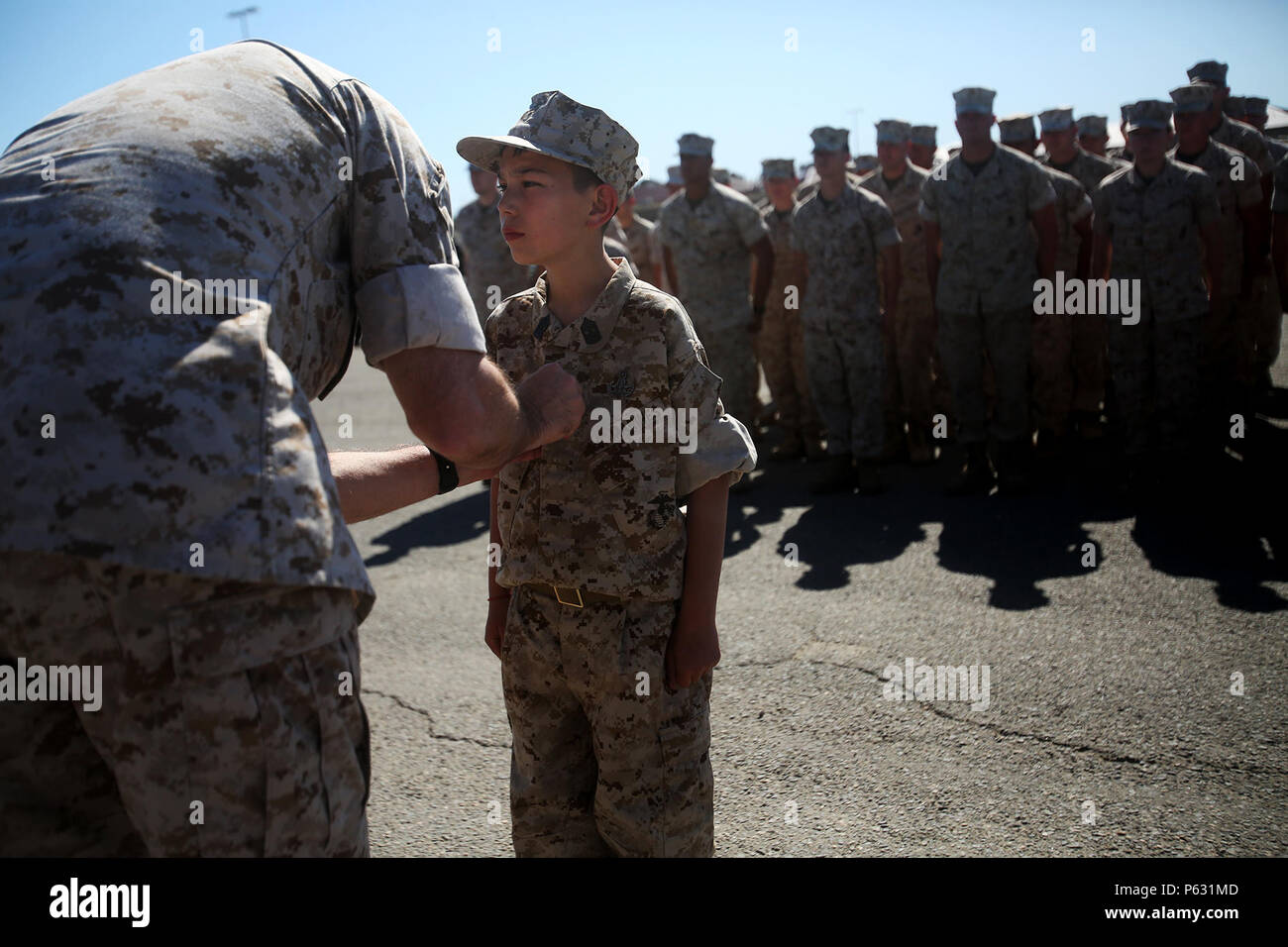 Master eod badge hi-res stock photography and images - Alamy