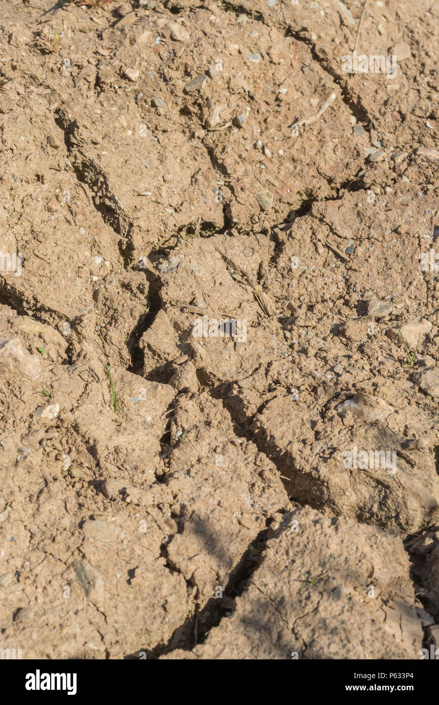 Parched Soil Field High Resolution Stock Photography and Images - Alamy