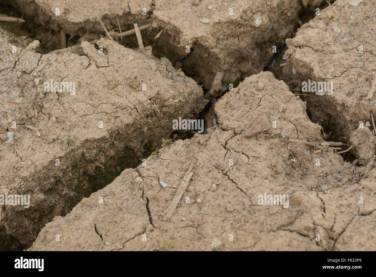 Crop Failure High Resolution Stock Photography and Images - Alamy