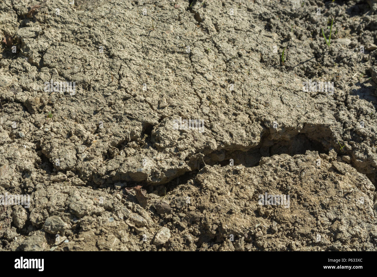 Deep cracks in water parched soil of cropped area - metaphor for ...