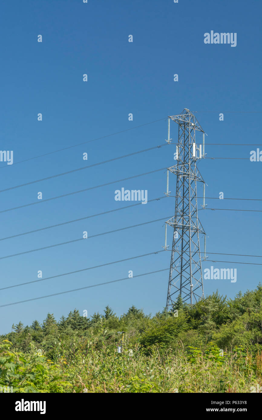 UK high voltage electricity pylon against blue summer sky. Showing ...