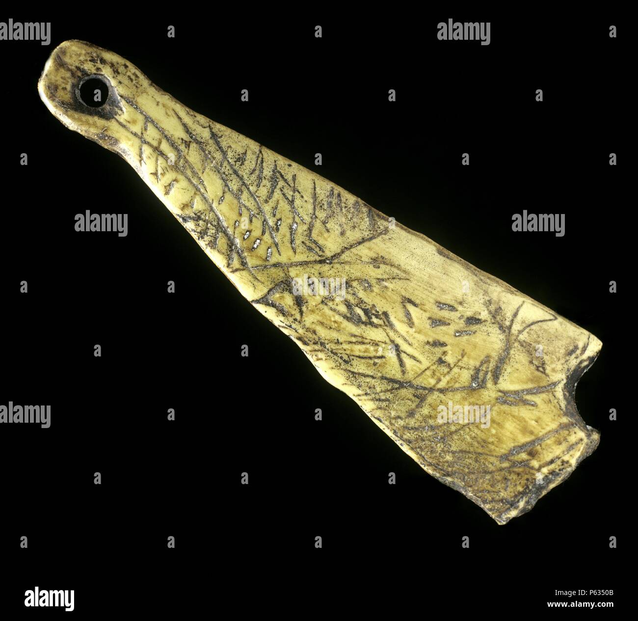 PIEZA DE AJUAR PALEOLITICO: BRAMADERA CON DOS CIERVOS GRABADOS, DE LA ...