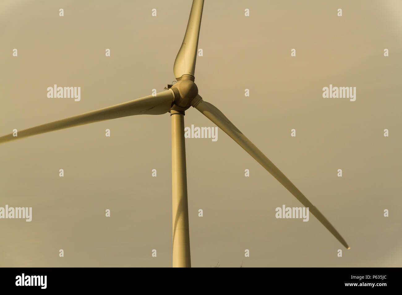 Single wind turbine with afternoon sky Stock Photo - Alamy