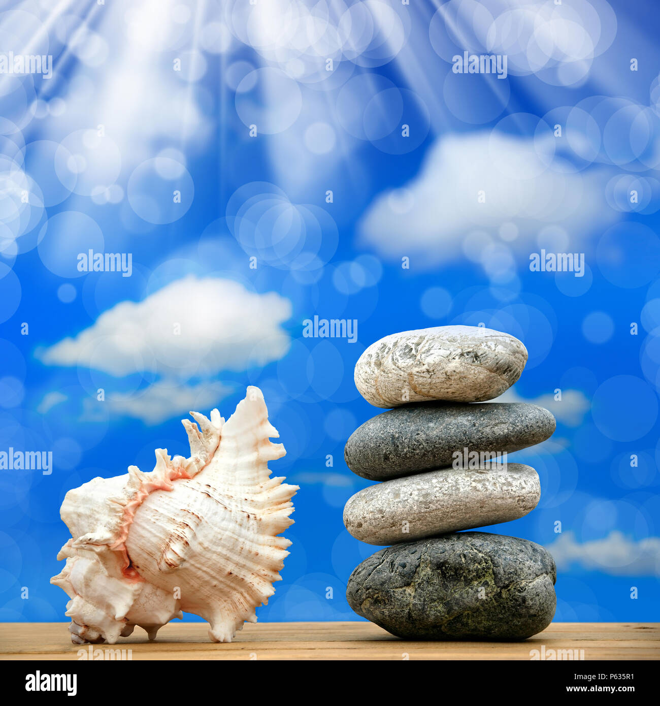 Shell like rock hi-res stock photography and images - Alamy