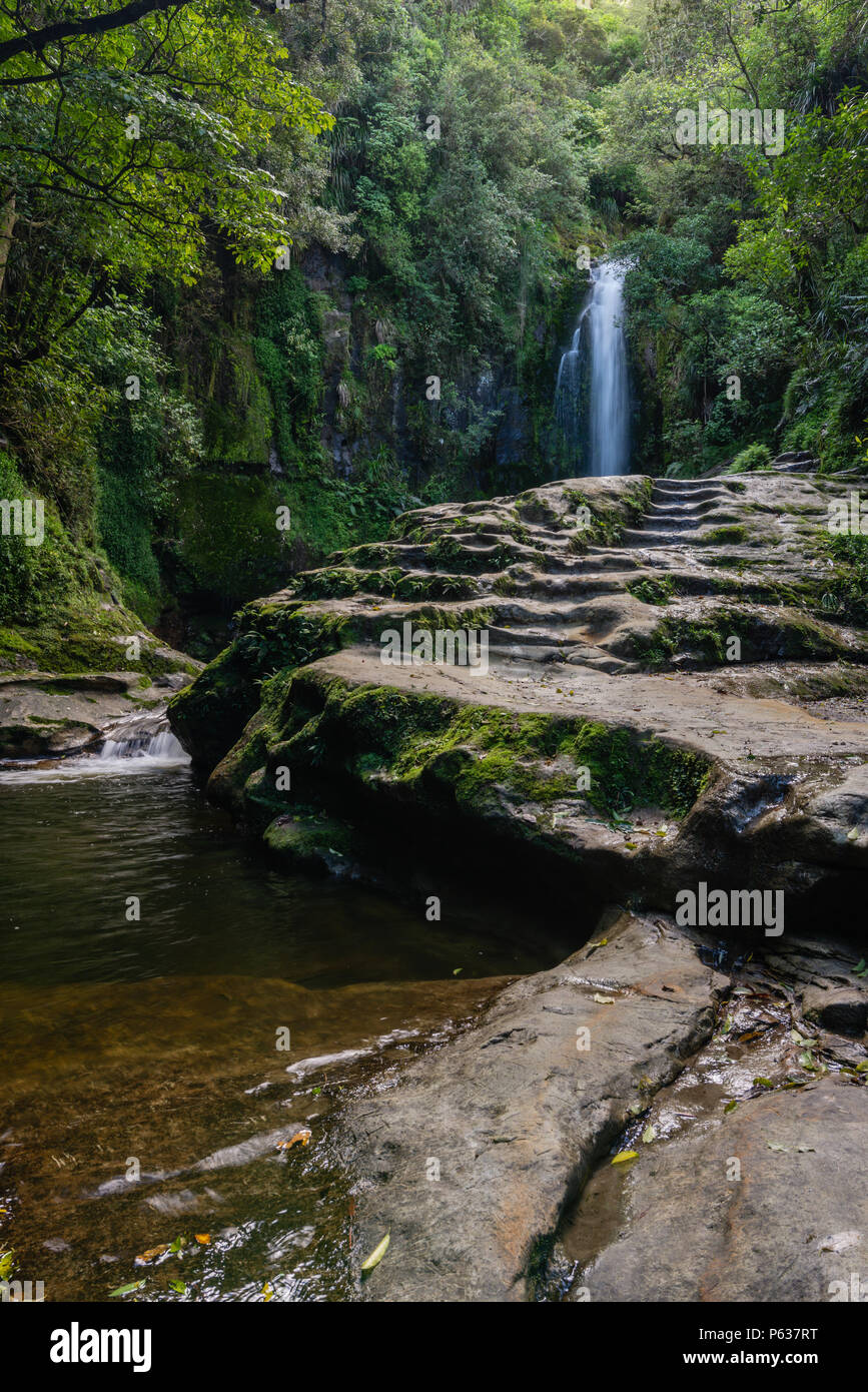 Tauranga river hi-res stock photography and images - Alamy