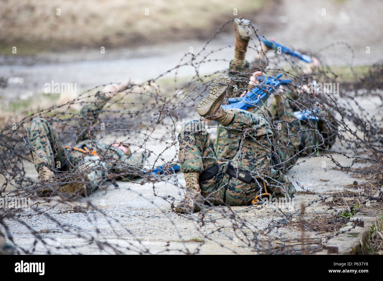 U.S. Marines with Bravo company, 1st Battalion, 8th Marine Regiment ...