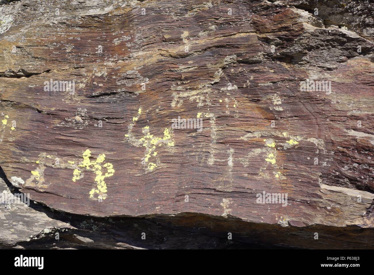 Panel de arte rupestre hi-res stock photography and images - Alamy