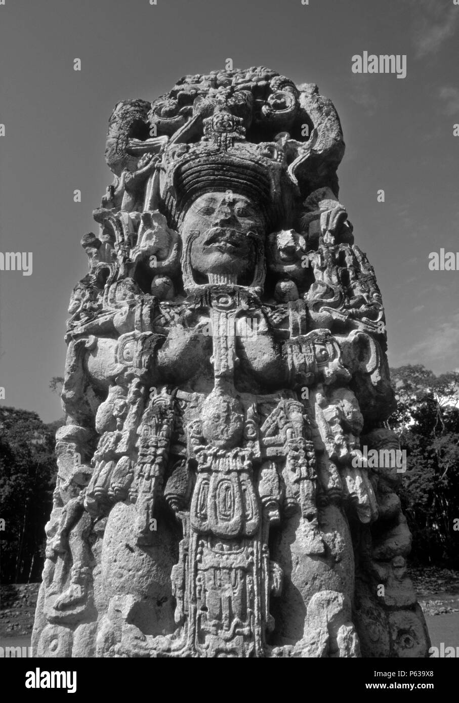 18 rabbit copan hi-res stock photography and images - Alamy