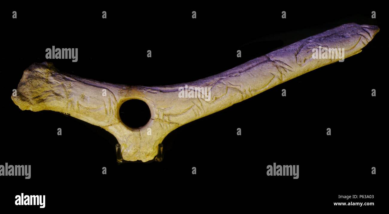 PIEZAS DE LA EXPOSICION "ARTE SIN ARTISTAS": BASTON PERFORADO CON ...
