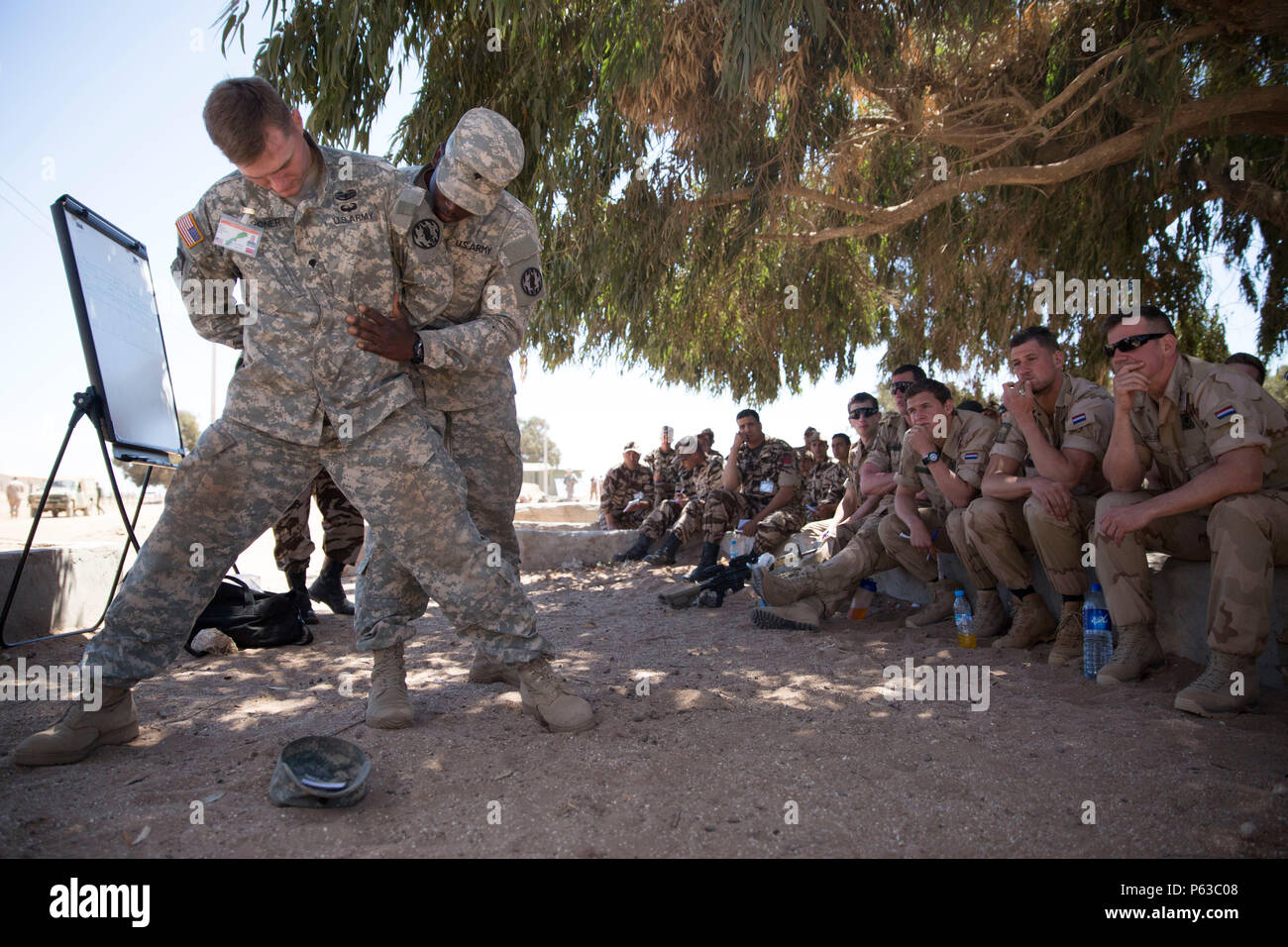 Renardo hi-res stock photography and images - Alamy