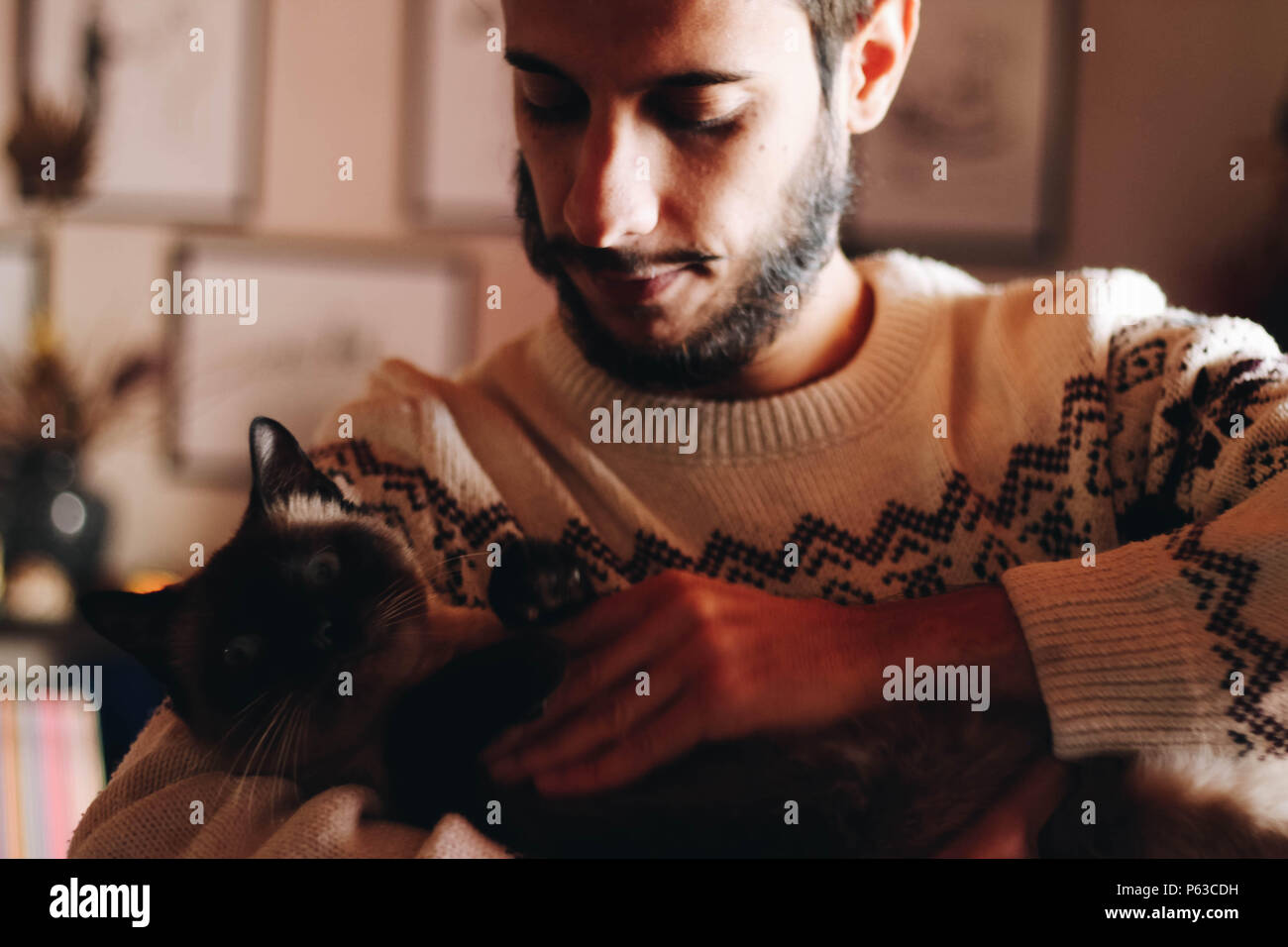 Young man holding his pet siamese cat Stock Photo - Alamy