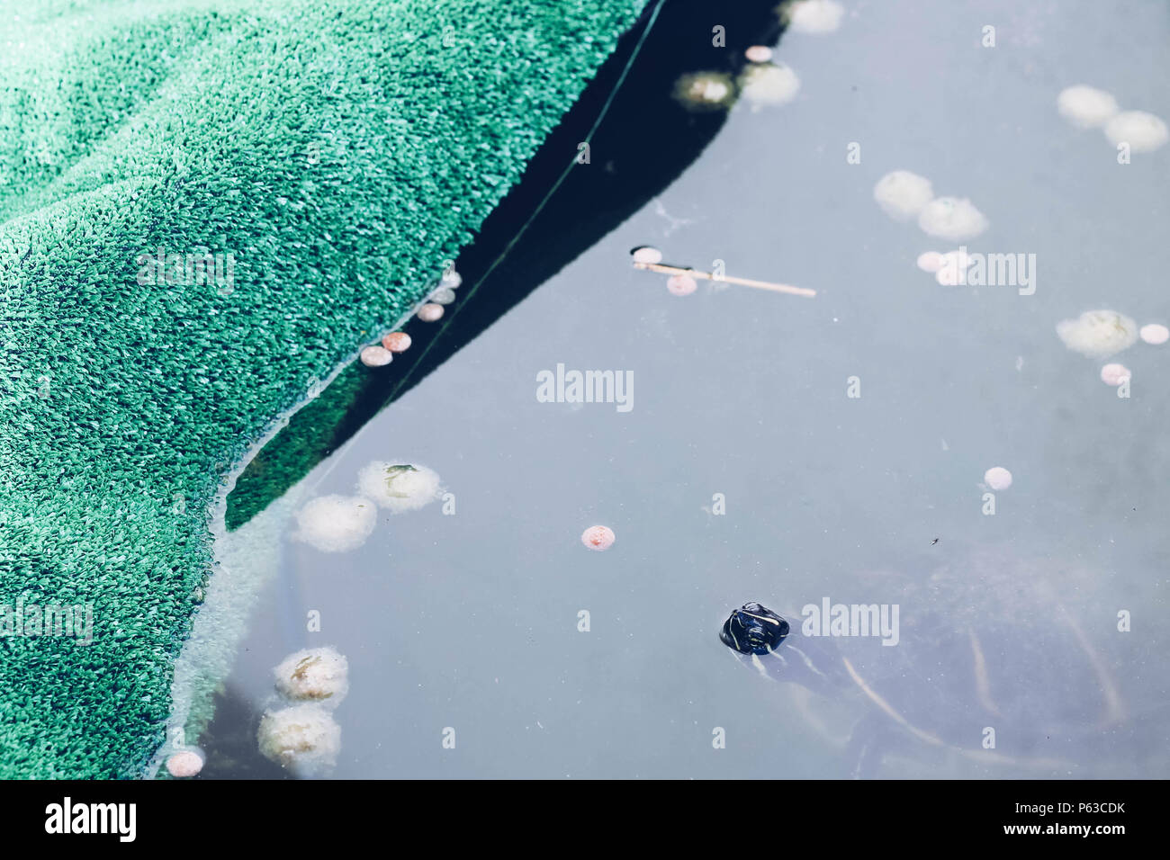 Turtle Lake High Resolution Stock Photography and Images - Alamy