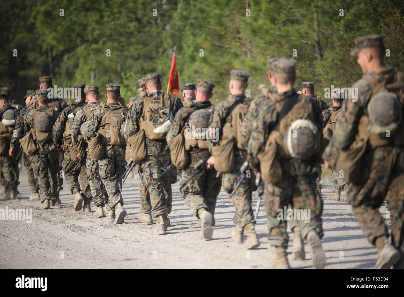 Marines with 2nd Combat Engineer Battalion conduct a hike to their new ...