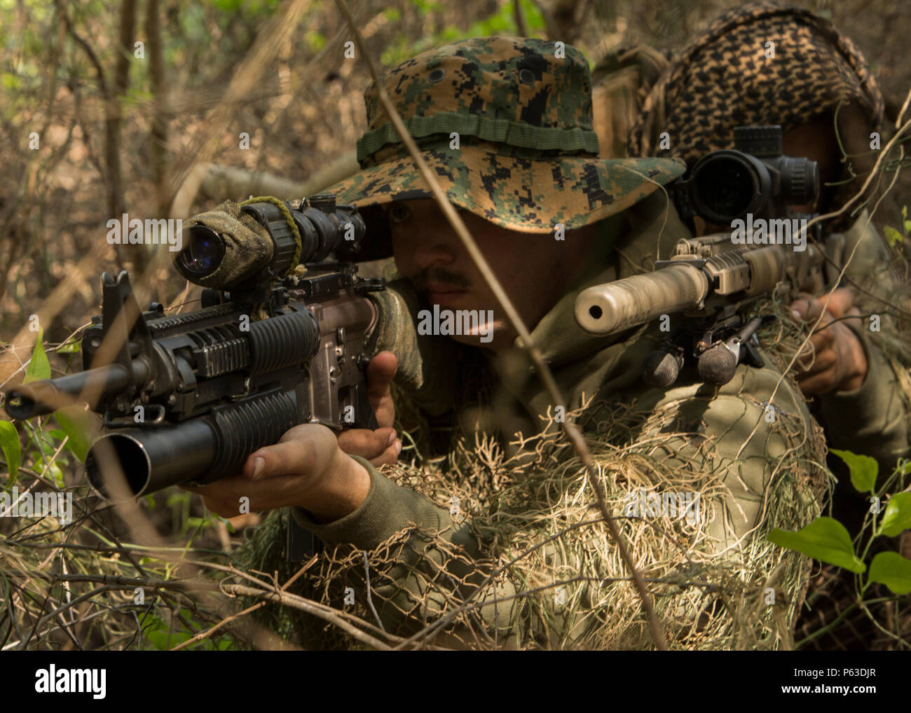 Designated marksmen with 1st Platoon, Bravo Company, 2nd Law ...