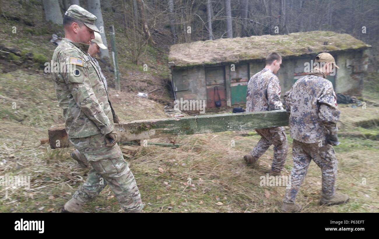 Capt. Mark Kraus, 1st Battalion, 119th Field Artillery, Michigan Army ...
