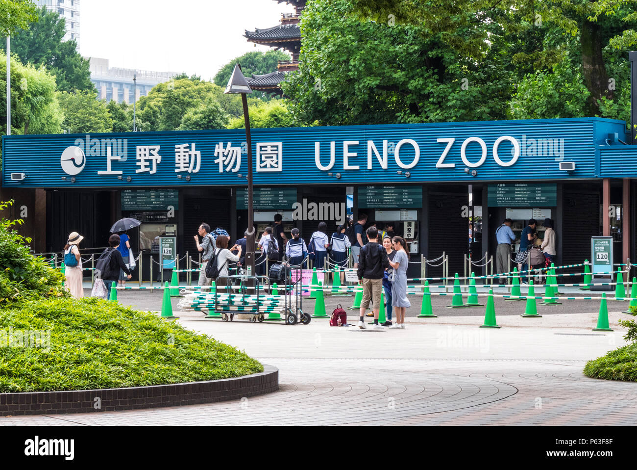 Famous Ueno Zoo in the city of Tokyo - TOKYO / JAPAN - JUNE 12, 2018 Stock Photo - Alamy
