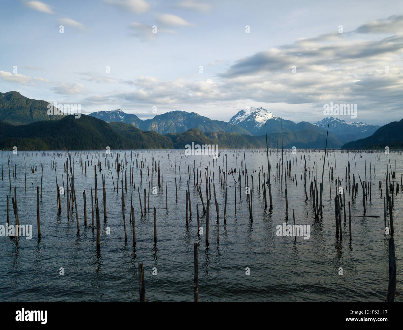 Stave lake bc hi-res stock photography and images - Alamy